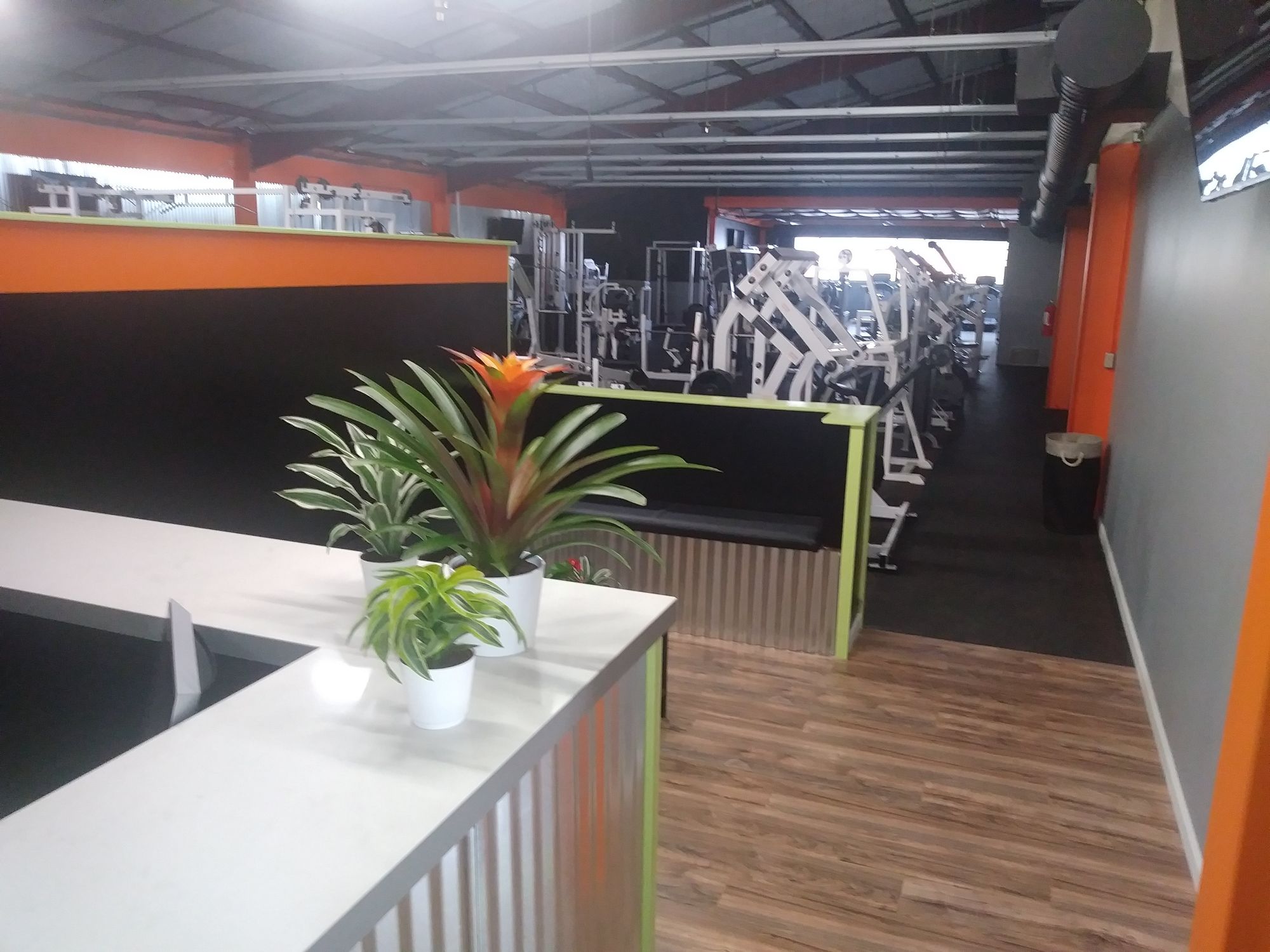 The Fitness Factory